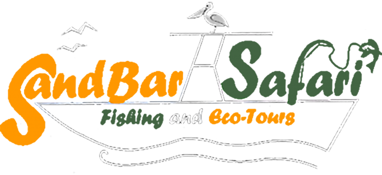 PICTURES & VIDEO – Sandbar Safari Charters